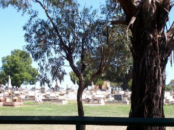 Australian Cemeteries - New South Wales - Bathurst
