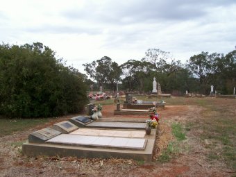Australian Cemeteries - New South Wales- Wombat
